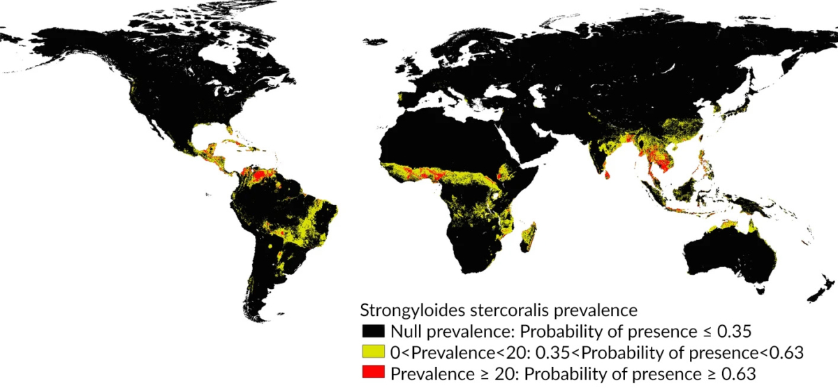 Strongyloidiasis Diagnostics - InBios International, Inc.